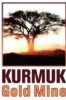 Learning And Development L D Manager job at Kurmuk Gold Mine PLC | GeezJobs