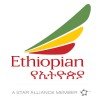 Civil Eng. / COTM Jobs in Ethiopia - Latest Job Vacancies 2026 | GeezJobs